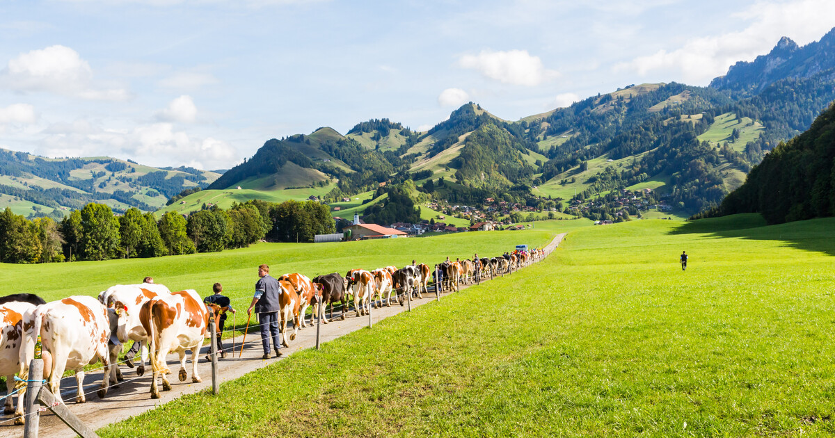 Swiss Pavilion | Cleantech - Biodiversity